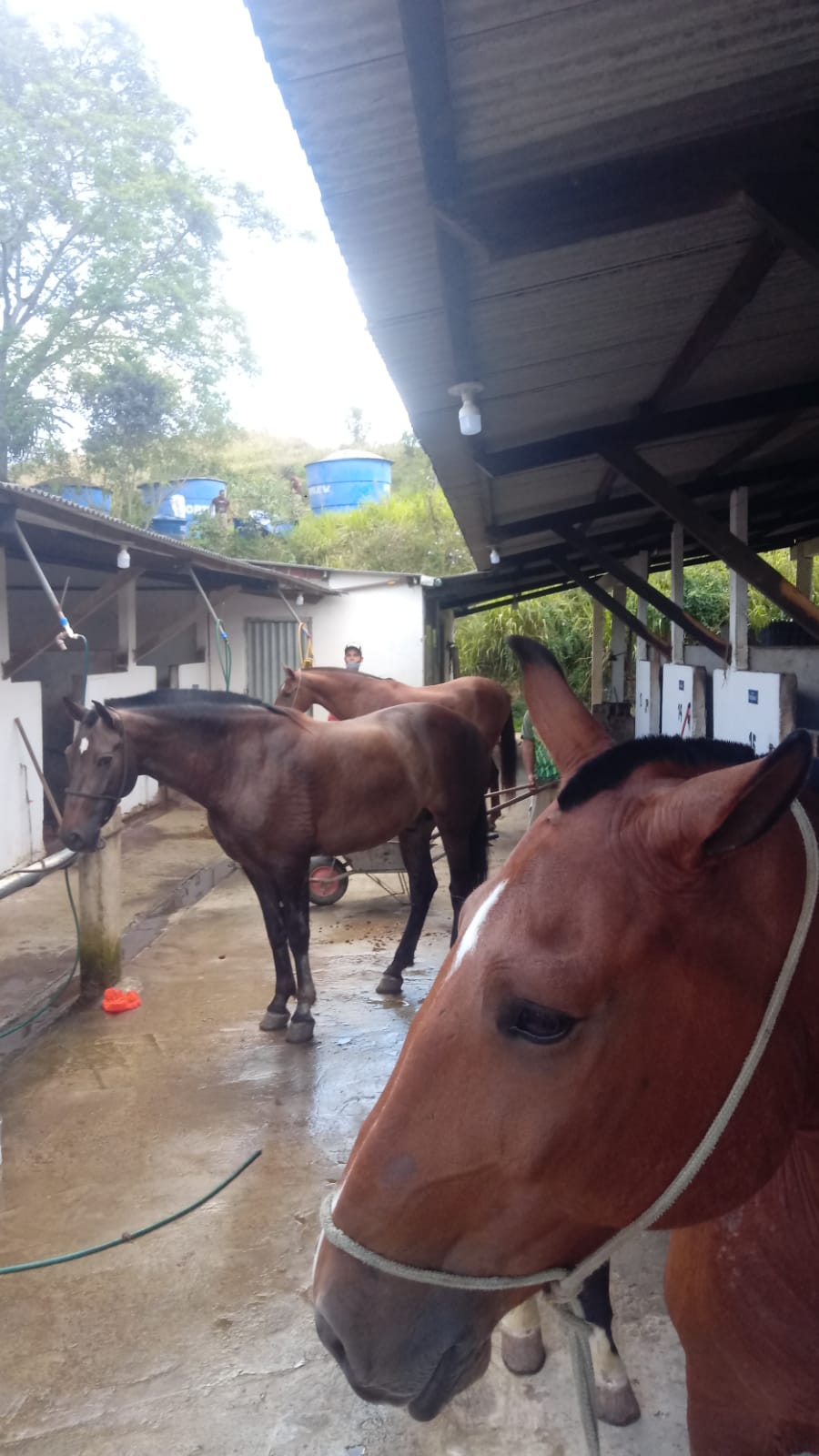 Senar Bahia lançou o Programa “Tratador de Equinos” - Sistema FAEB