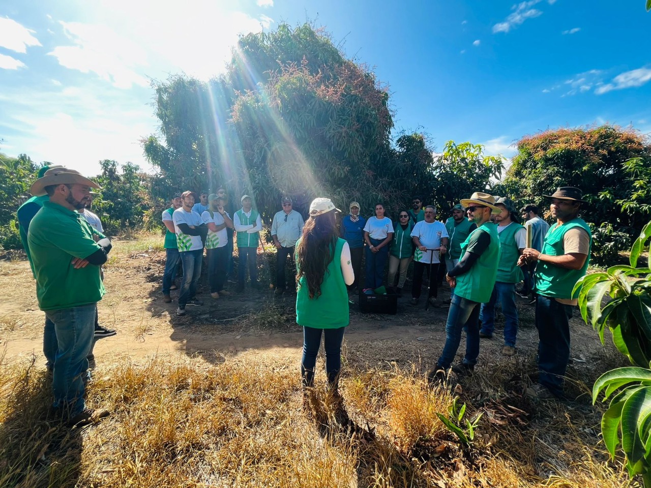 Senar Bahia divulga segunda vencedora da Premiação Fotos Instrucionais ...